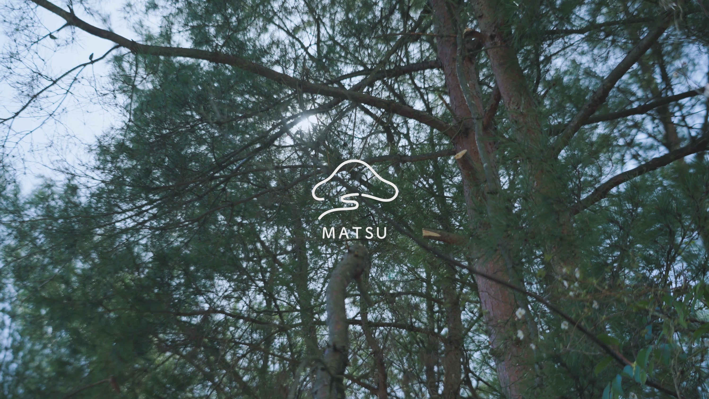 【MATSU】石川県能登産の松を使った「松の専門店」